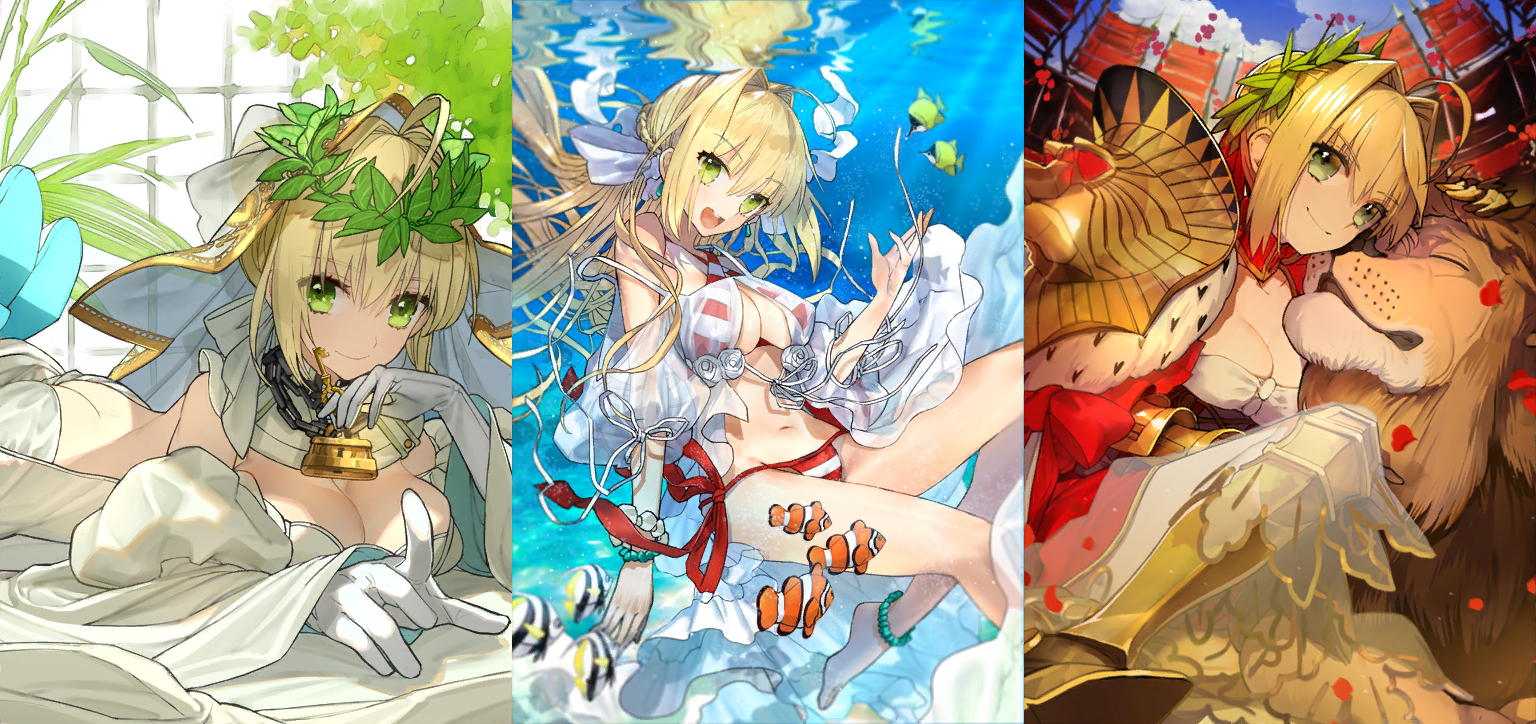 [NA][INSTANT] FGO Triple Nero (NP5 Bride + NP5 Caster + NP5 Saber) Fat ...
